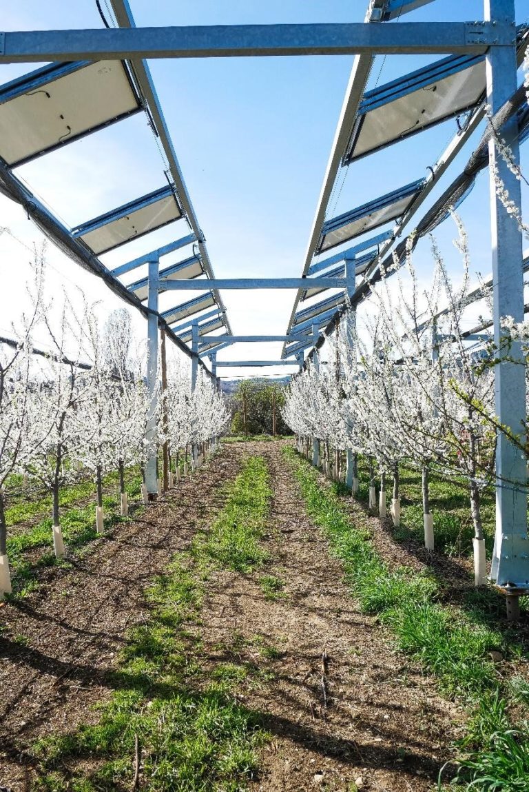 Ombrea vient d’inaugurer un démonstrateur agrivoltaïque sur une ...